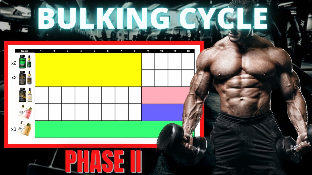 Phase 2 Bulking Cycles Using OTC Anabolic Hormones - YouTube