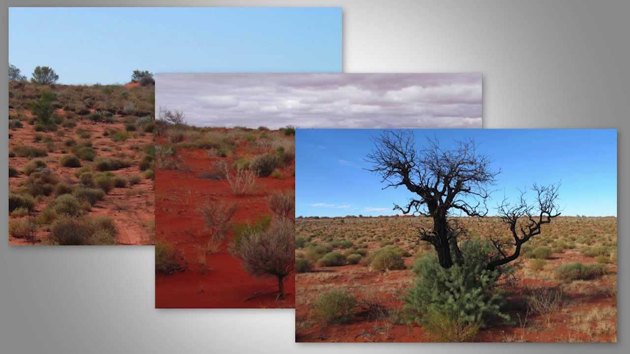 A million years of change: wind, flood and fire in the Simpson Desert ...