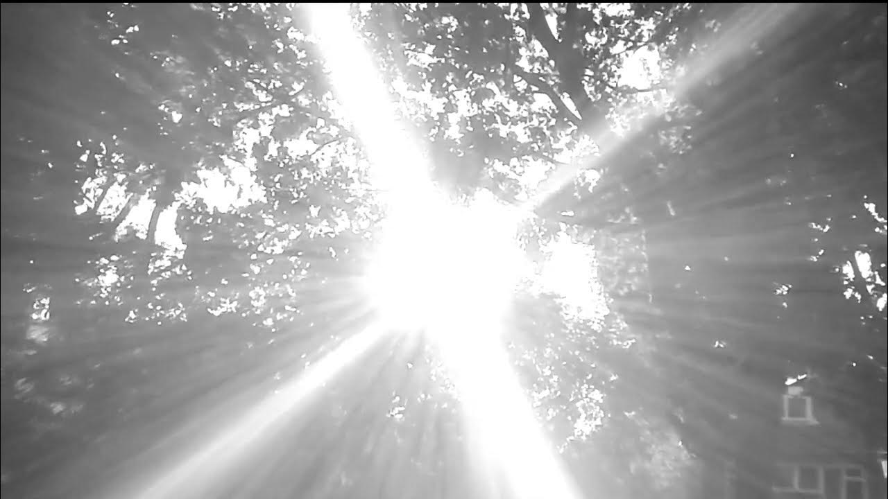 Forlorn YouTube forlorn-youtube