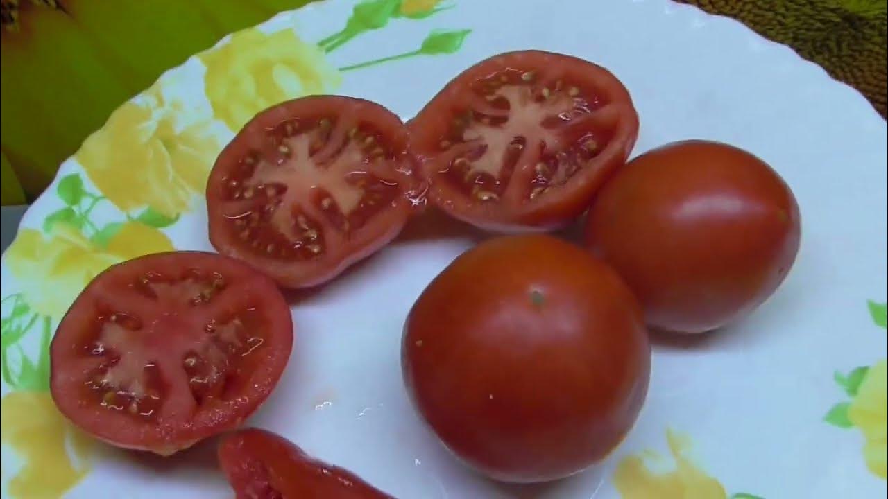 Томат Мамонтенок зимой. Какой он на вкус? - YouTube