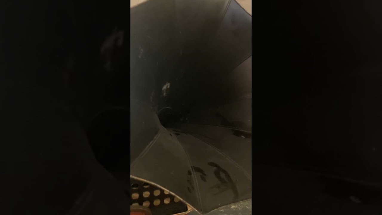 “Pliny, Come Kiss Your Baby” 1899 Miss Maybell & Charlie Judkins Brown ...