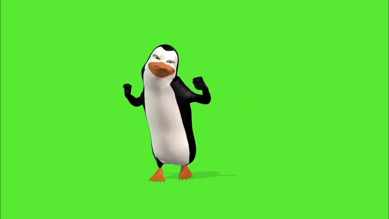 Penguin green screen video - green screen cartoon video - Green screen ...