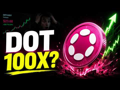 POLKADOT 100X? DOT IST KOMPLETT UNTERBEWERTET