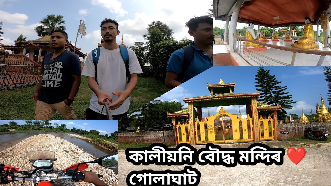 Buddhist temple/Buddha vihar in Assam/ কালীয়নি বৌদ্ধ মন্দিৰ ️ গোলাঘাট ...
