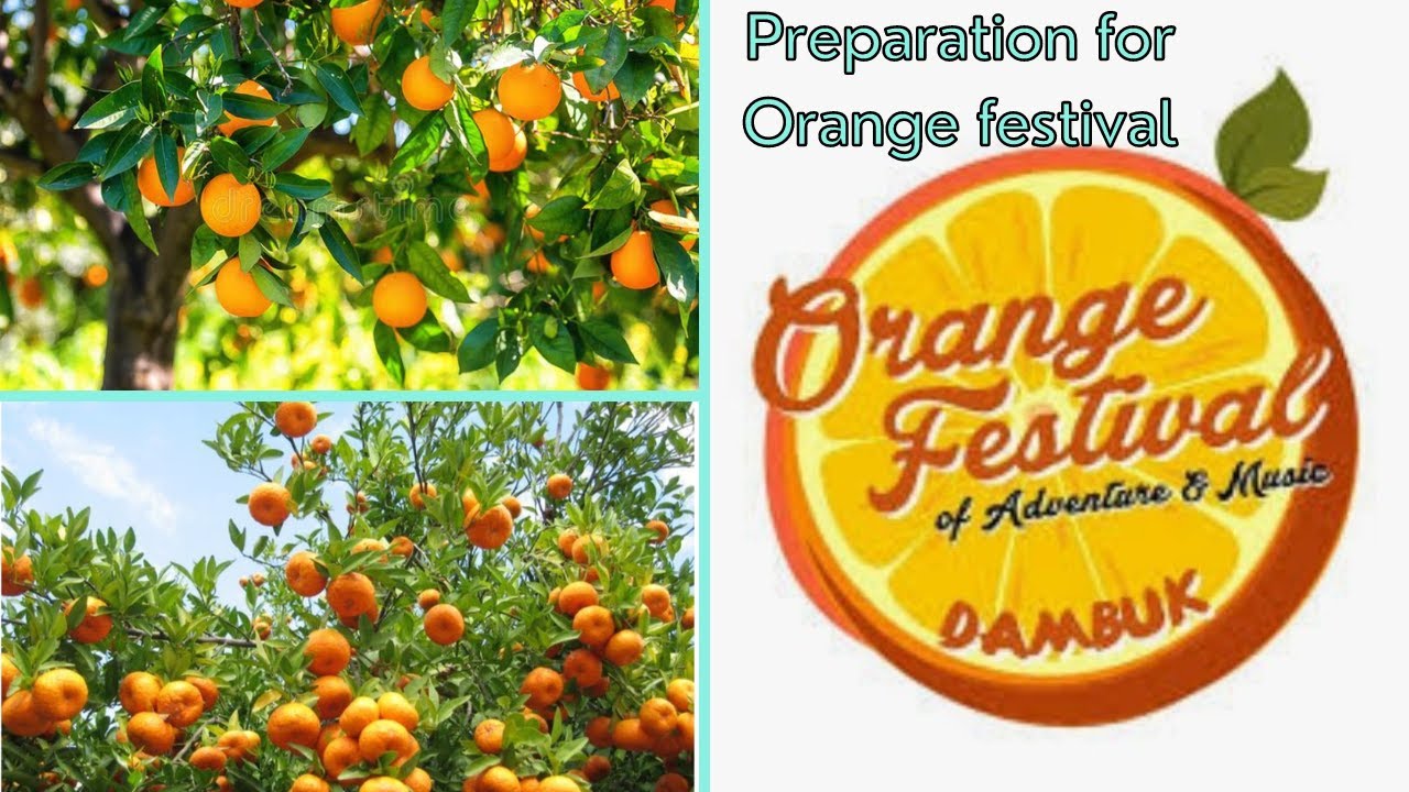 PREPARATION FOR BEST ADVENTURE AND MUSIC FESTIVAL I.E ORANGE 🍊 FESTIVAL ...