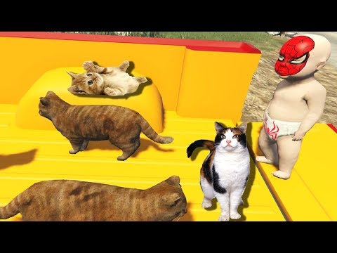 Örümcek Bebek Minik Arabası ile Kedilerin Peşine Düşüyor (GTA 5 Komik Anlar)