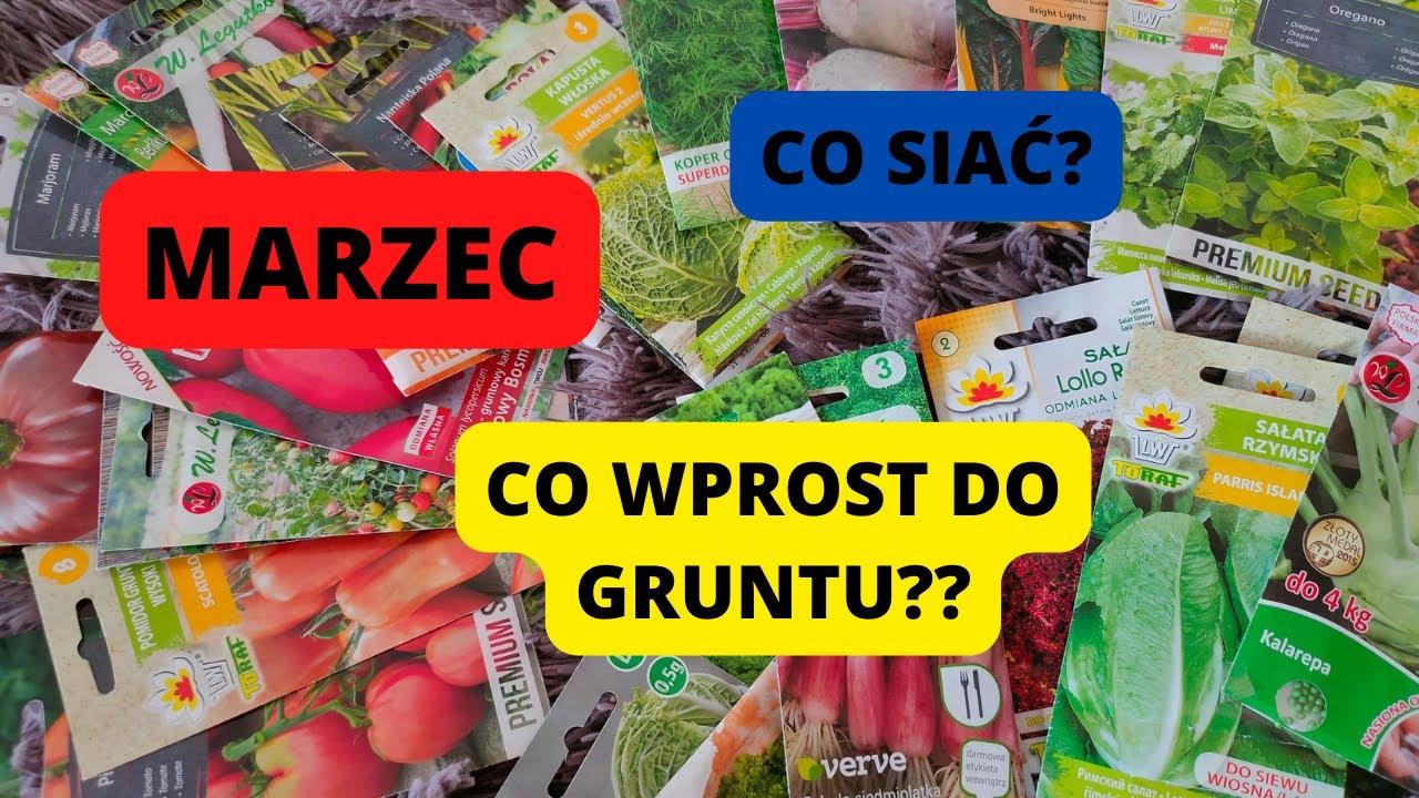 CO SIAĆ W MARCU? Co można siać w marcu do gruntu? Kalendarz ogrodnika ... CO SIAĆ W MARCU? Co można siać w marcu do gruntu? Kalendarz ogrodnika ...