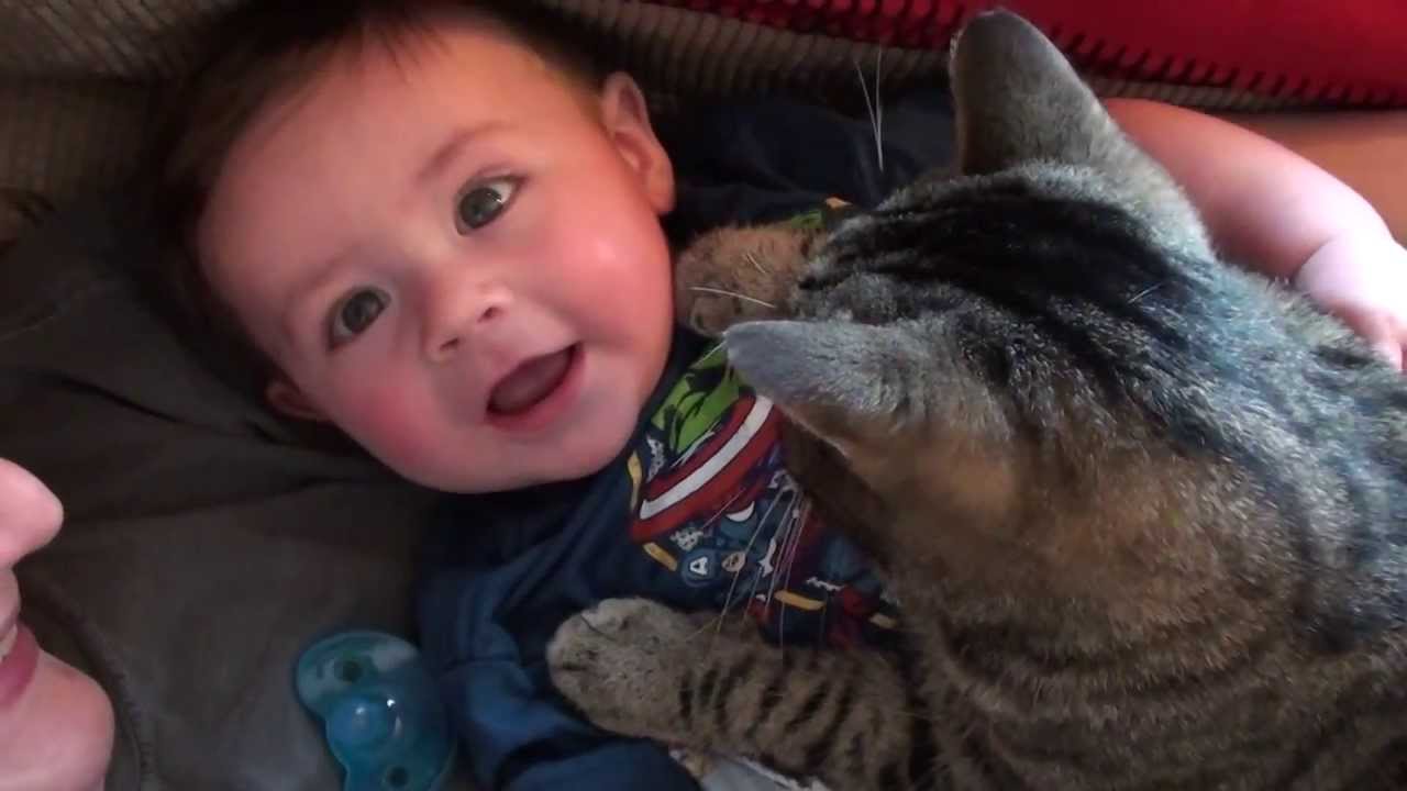 2014-03-08 Clint pets George Kitty - YouTube