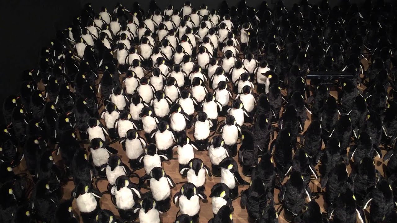 Penguin Mirror - YouTube