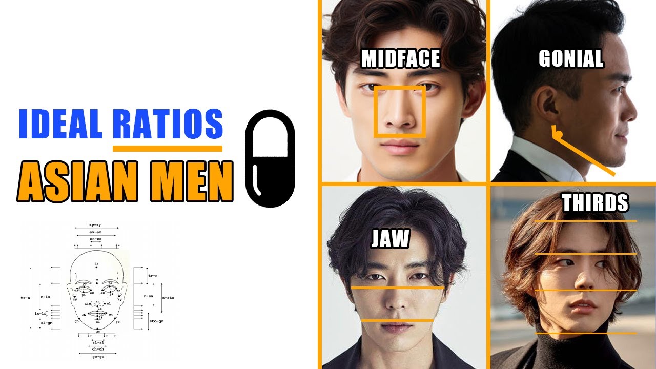 Ideal Ratios Of Attractiveness For Asian Men - YouTube