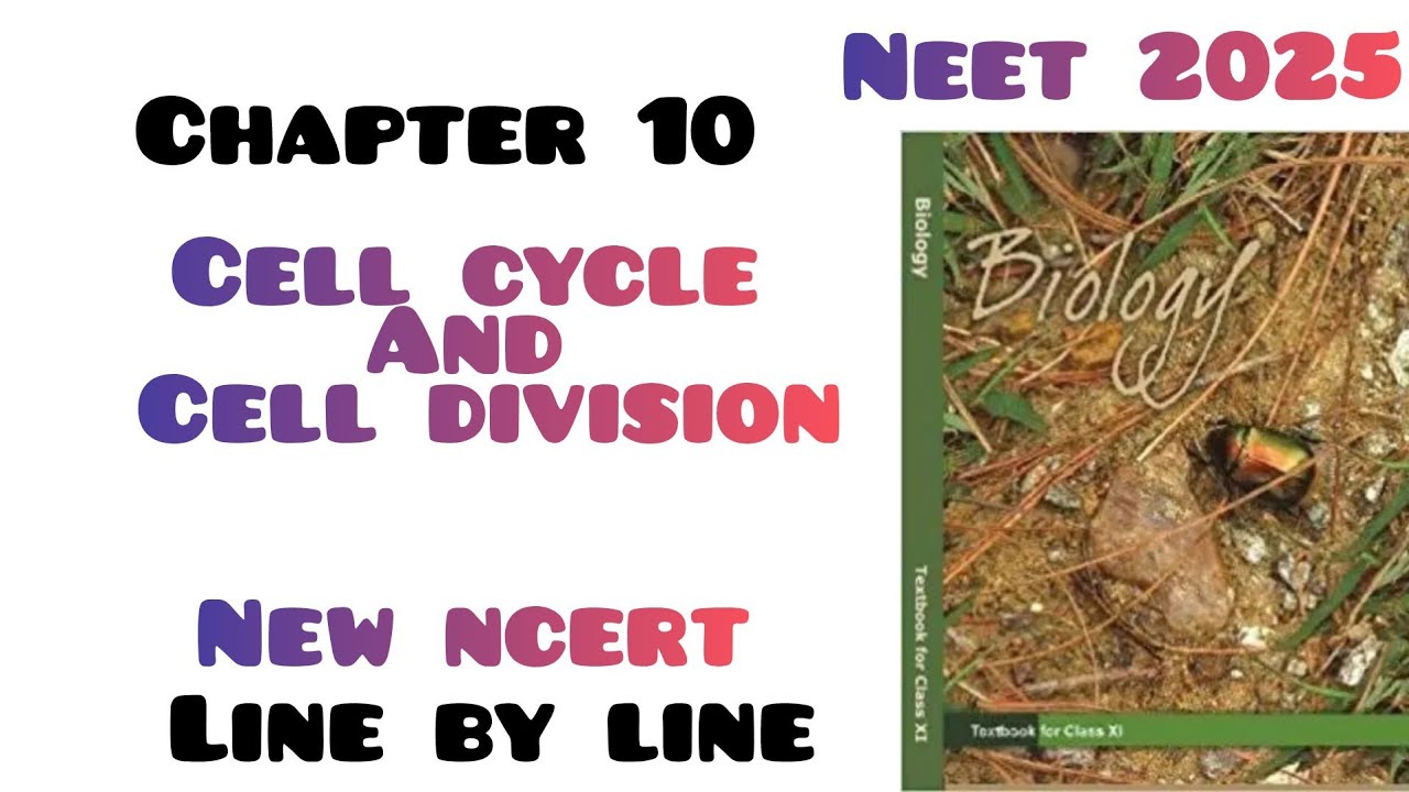 Cell cycle and cell division class 11 || Cell cycle and cell cycle ...