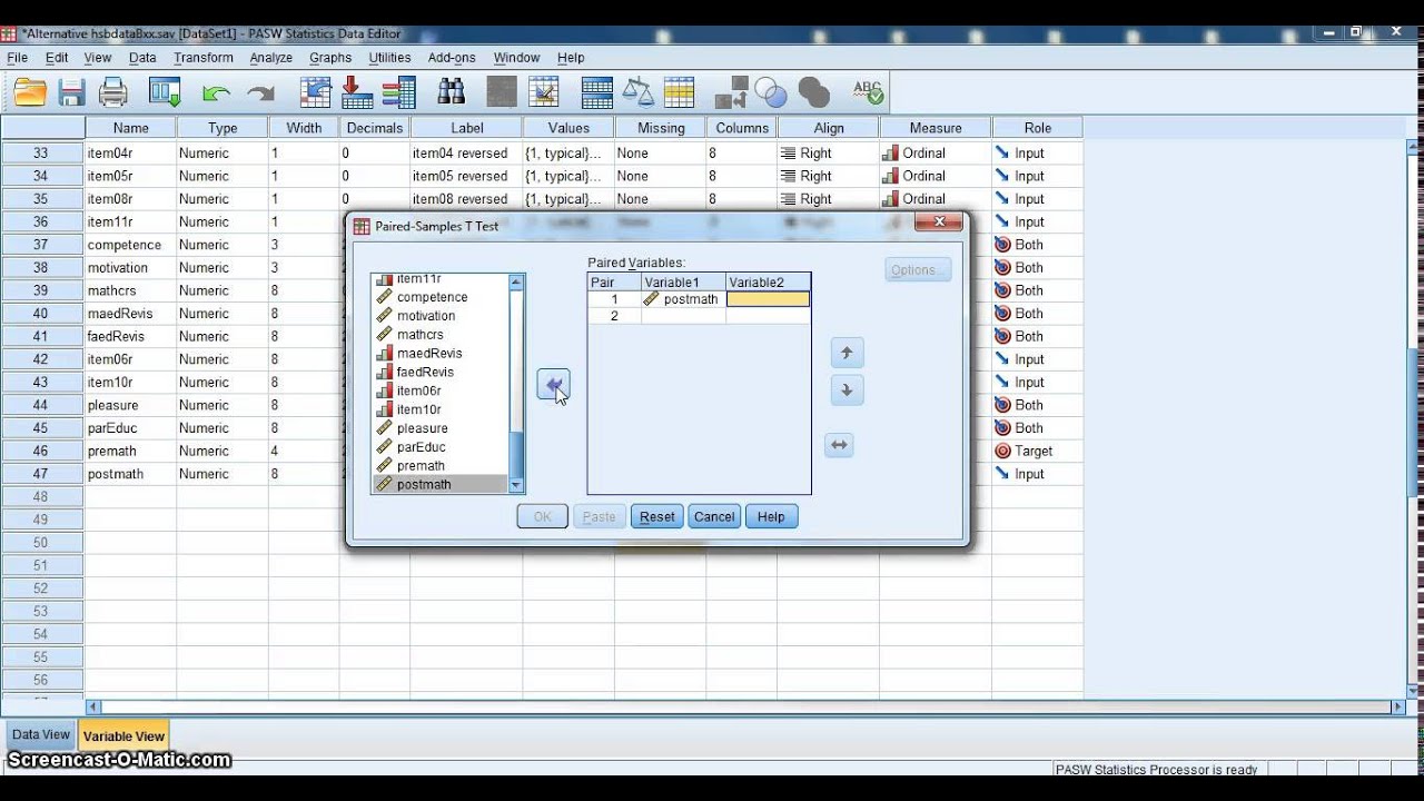Matched Paired Sample t Test in SPSS - YouTube
