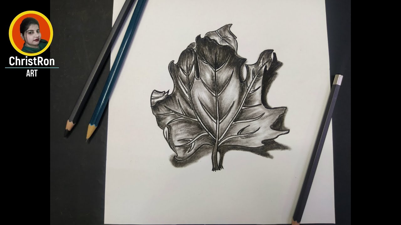 Realistic leaf drawing | leaf drawing with charcoal pencil | how to ...