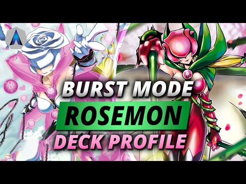 CRAZY FAST!!! Rosemon Burst Mode Deck Profile & Combo Guide | Digimon Card Game BT13 Format