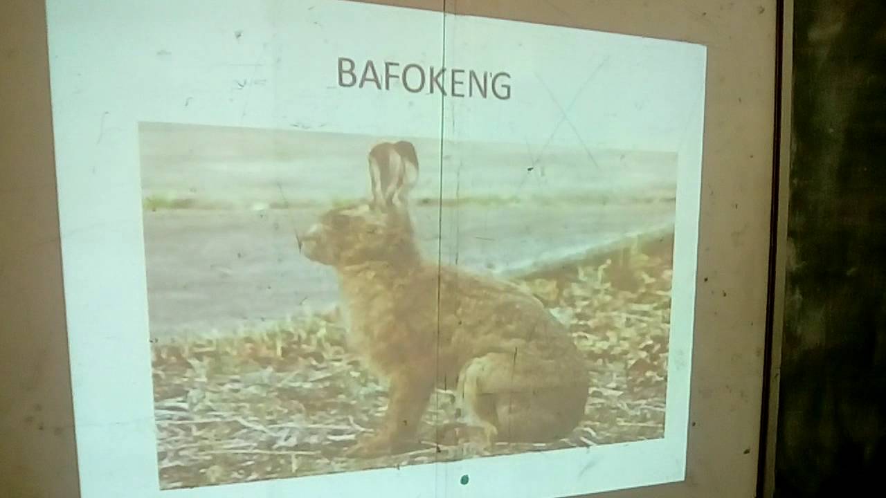 LIBOKO TSA BASOTHO - YouTube