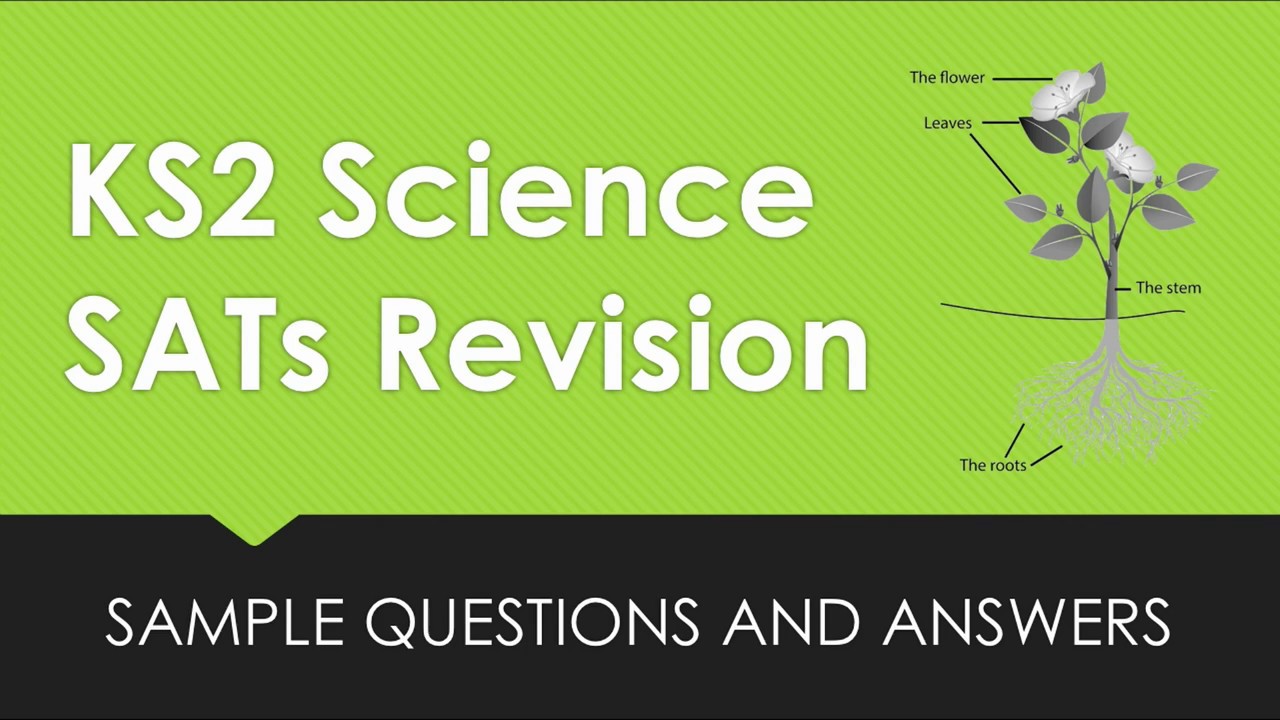 KS2 Science Revision: Sample SATs Questions - YouTube