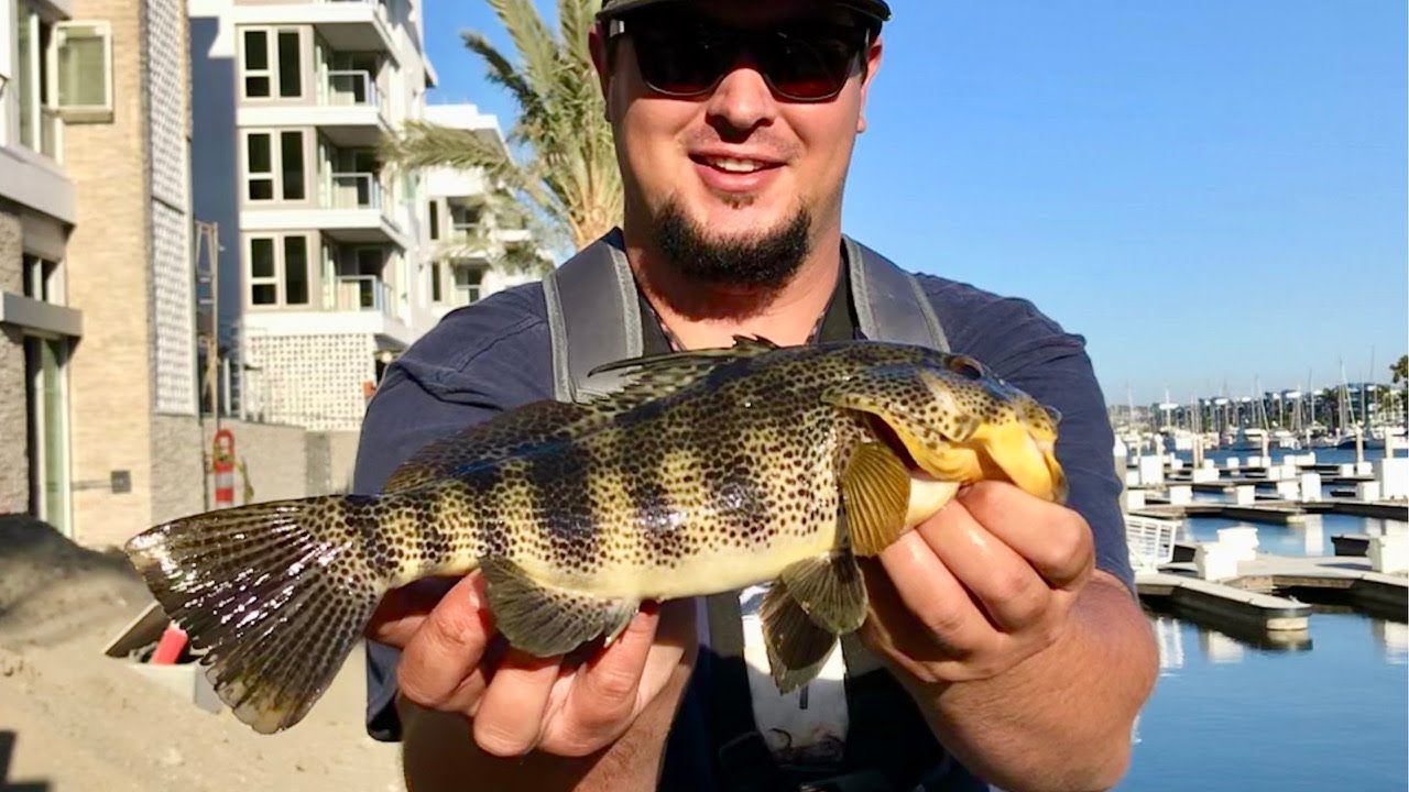 Spotted Bay Bass Fishing - YouTube