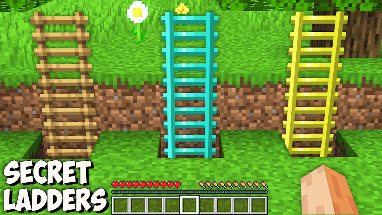 Where does THE DEESPEST LADDERS lead in Minecraft? I found THE BIGGEST RARE LADDERS! - YouTube
