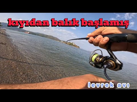 SULARIMIZIN FAVORİ BALIĞI.kıyıdan silikon karidesle levrek avı.