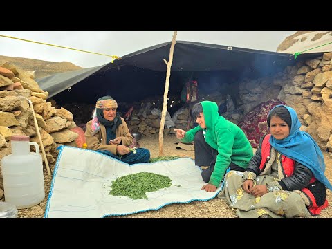A Mother and Her Children Fighting to Survive in the Zagros Mountains 💔🏔️