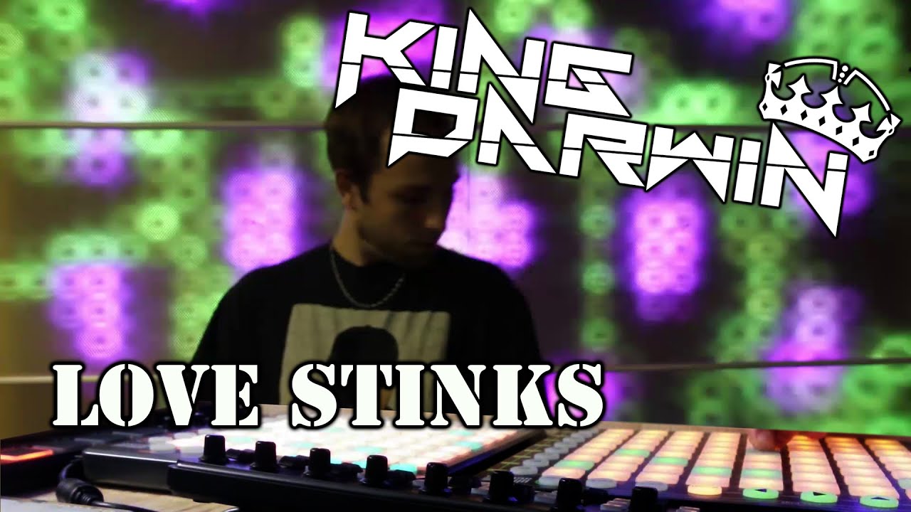 King Darwin - Love Stinks (Live EDM) - YouTube