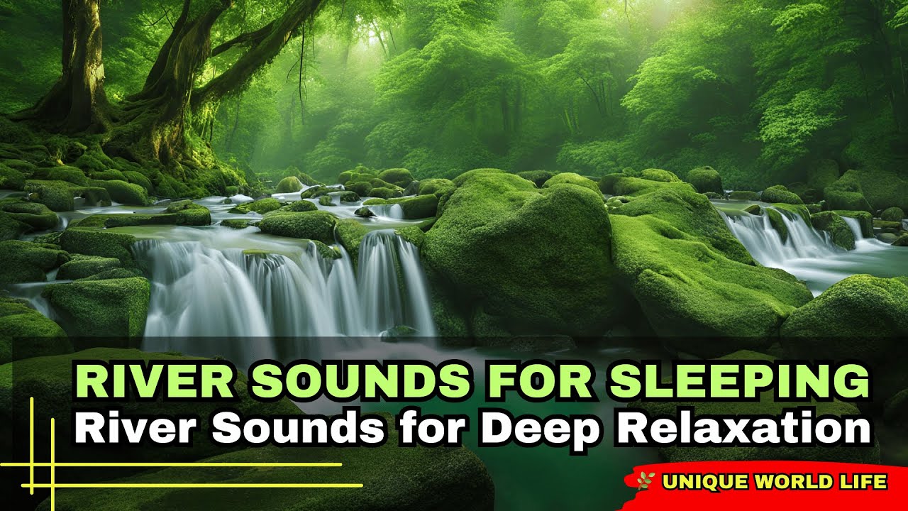 Tropical Rain Forest River Flow Sounds to Relax for Sleep To relieve ...