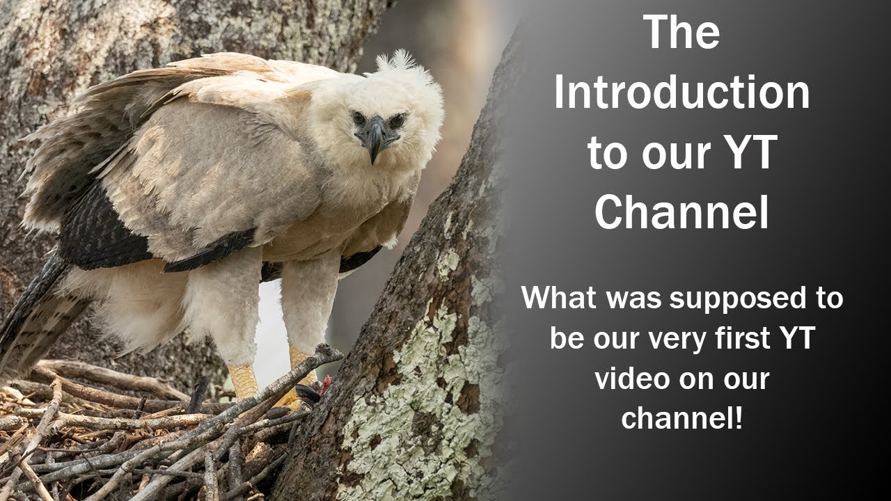 Introduction to our YT Channel - YouTube