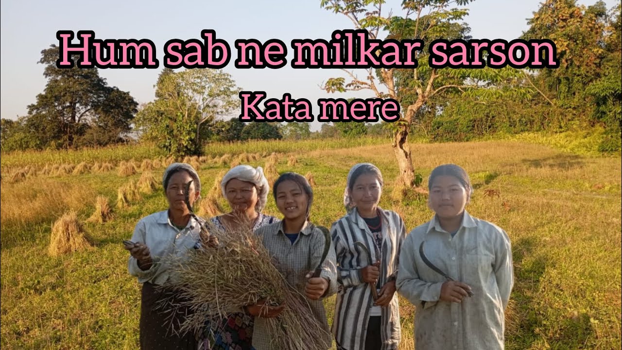 Hum sab ne milkar sarson kata mere - YouTube