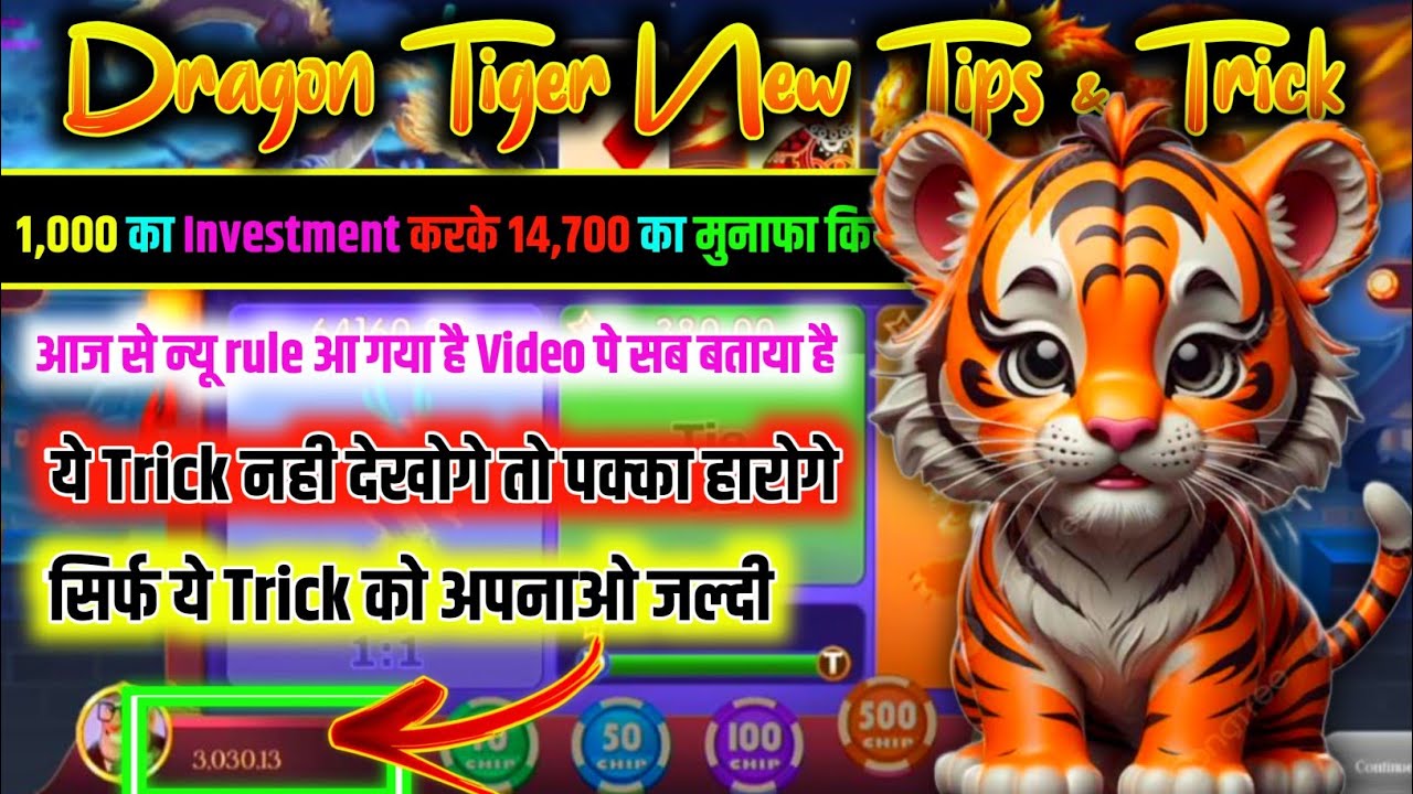 Dragon 🐉 Vs Tiger 🐅 | Dragon Vs Tiger Tricks Today | dragon vs tiger ...