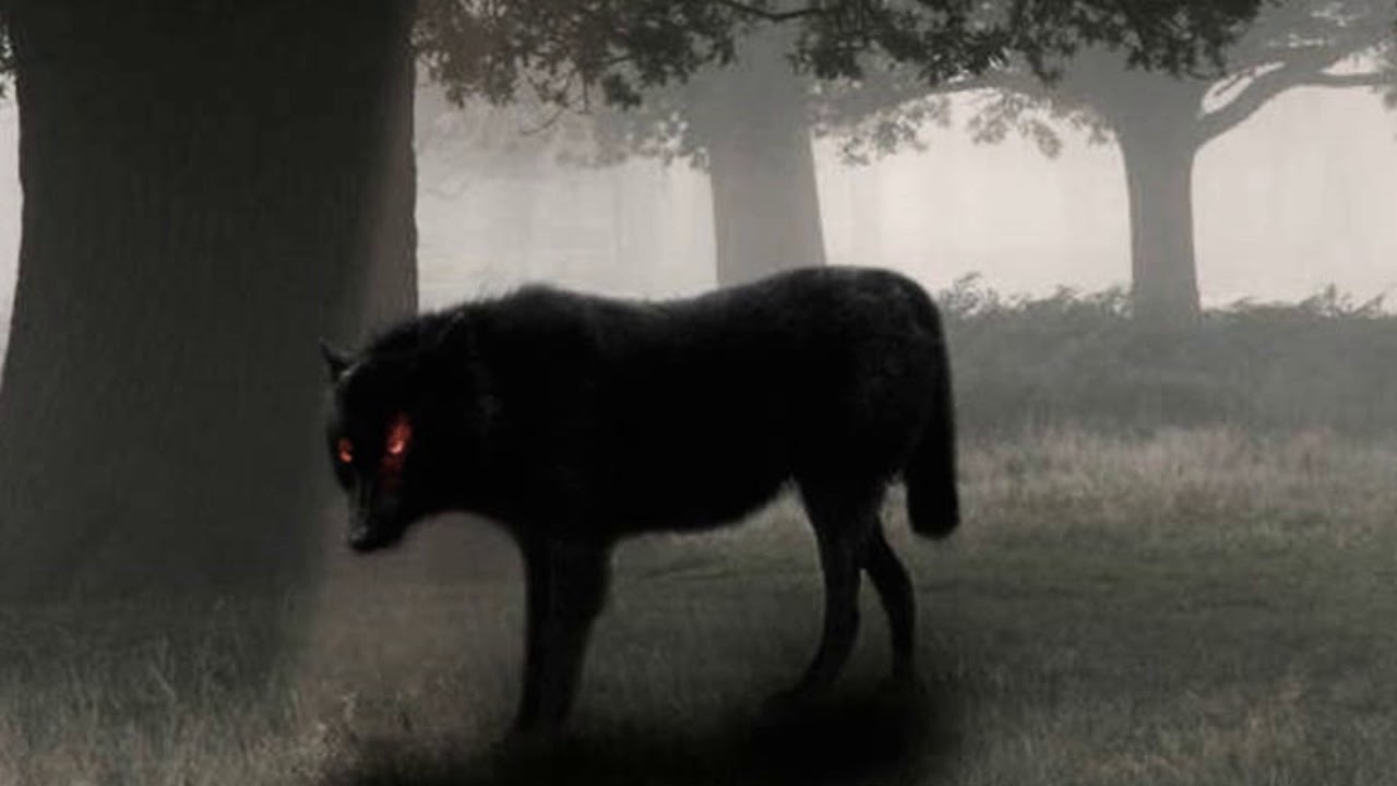 Historias de terror - El Perro Del Infierno - YouTube