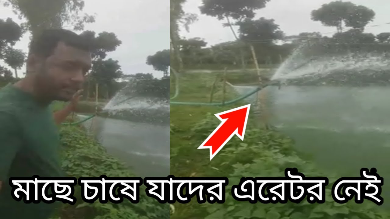 মাছ চাষে যাদের এরেটর নেই তার বিকল্প হিসেবে কি করবেন? দেখুন পুকুরে ...