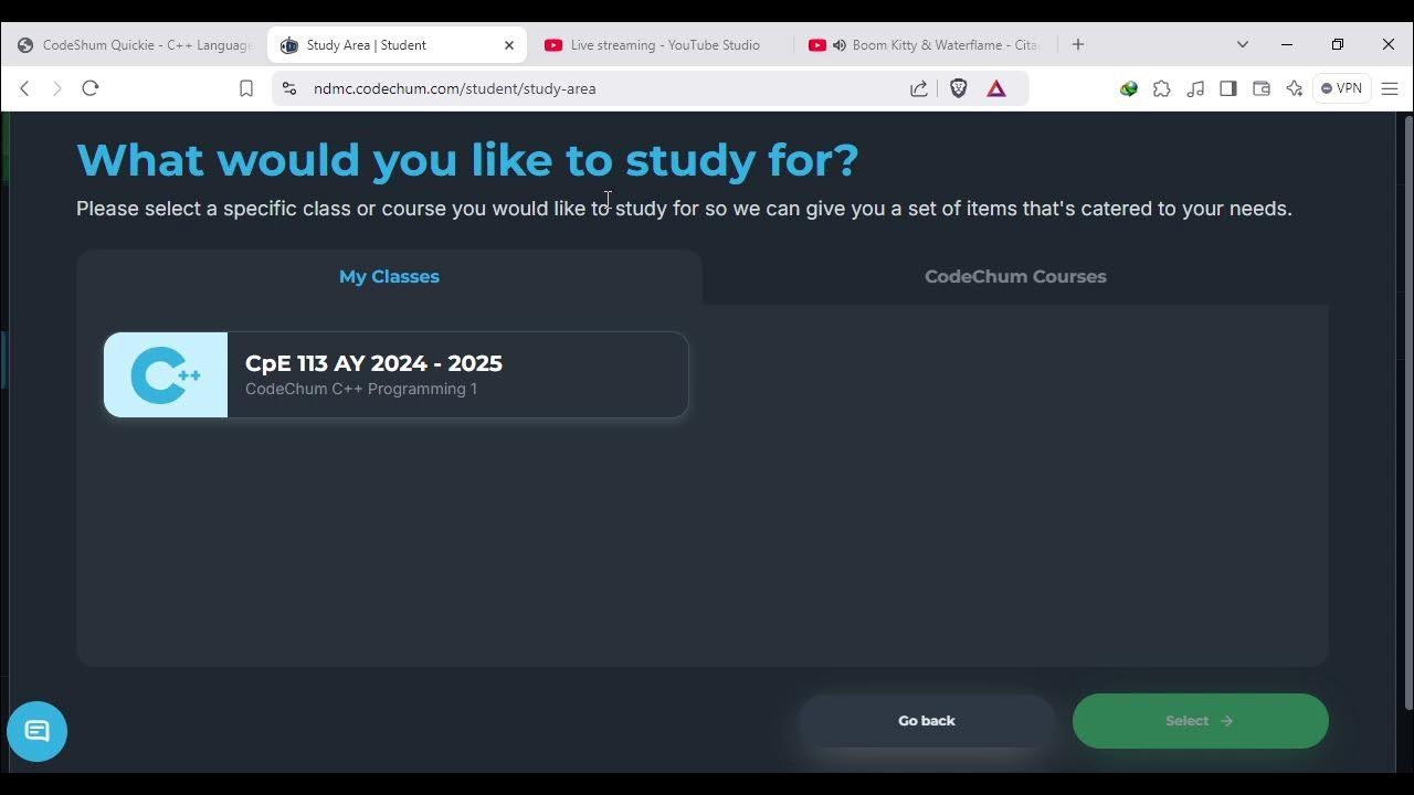 🚀 Programming Newbie - YouTube