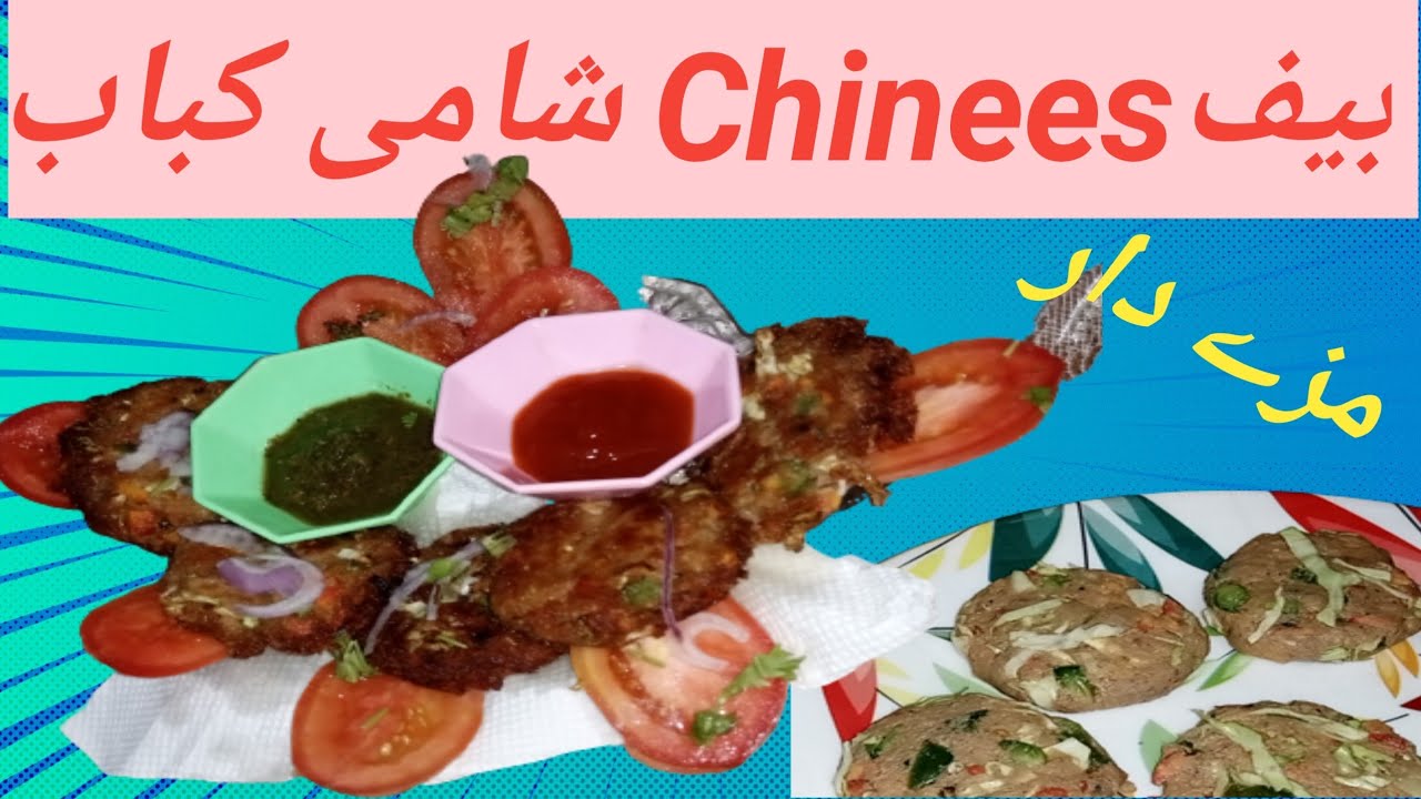 Beef chineese shami kabab . must try it - YouTube