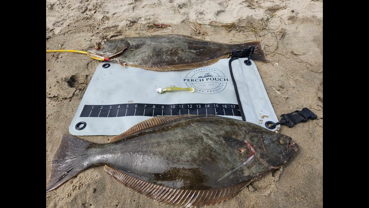 Lost Files:Halibut Fishing with Friends, Clients Making Memories in ...