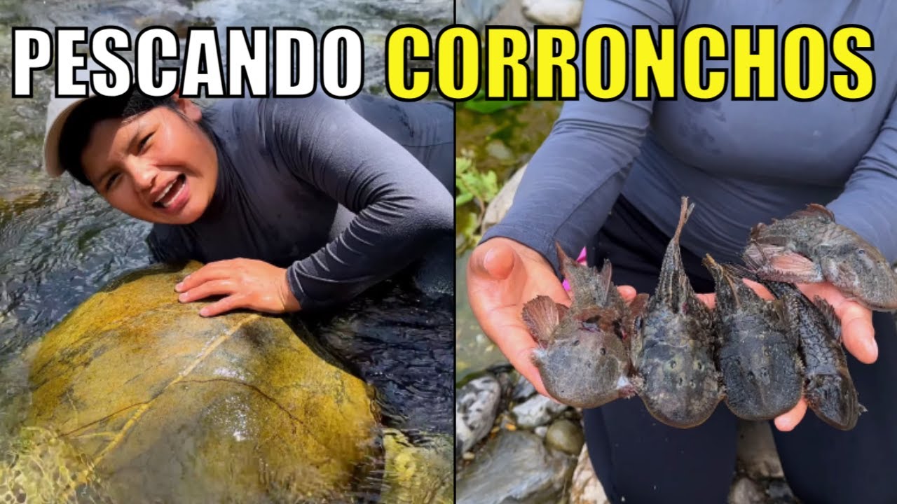 Memes Corronchos