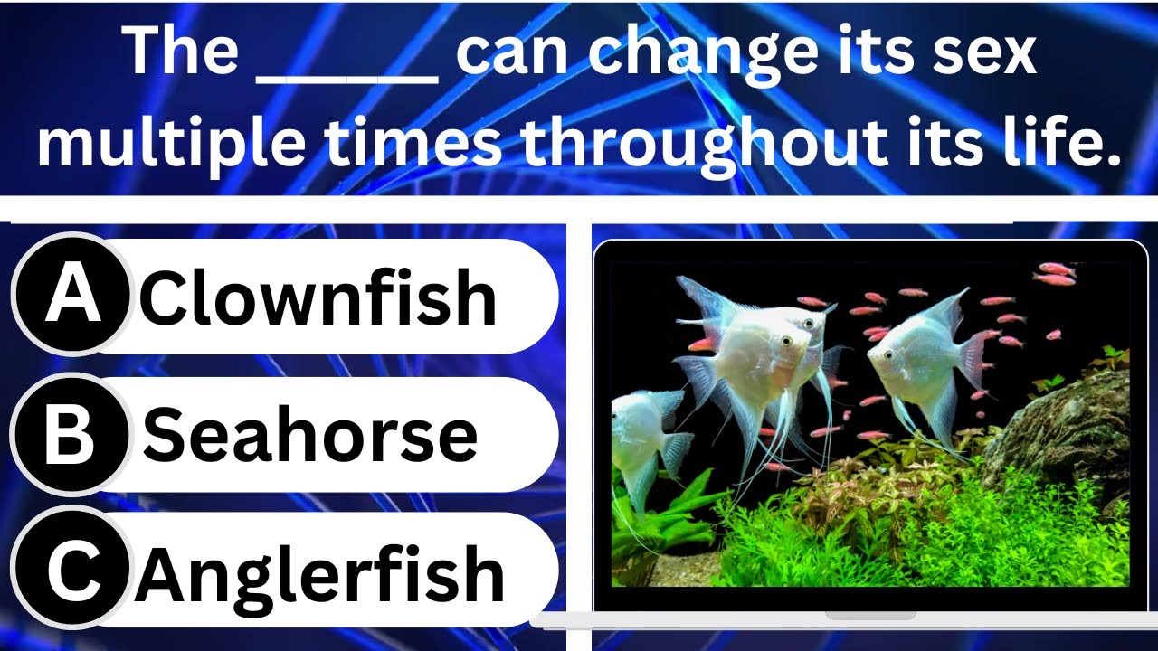 "Can You Guess These Weird Animal Facts? | Ultimate Quiz Challenge ...