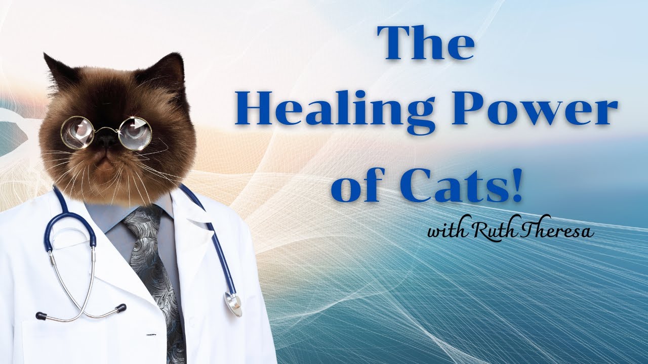 Healing Power of Cats on National Hug your Cat Day 2024 - YouTube