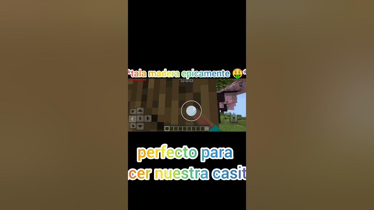 si veo el color rojo se acaba el video #rojo #hardcore #minecraft # ...