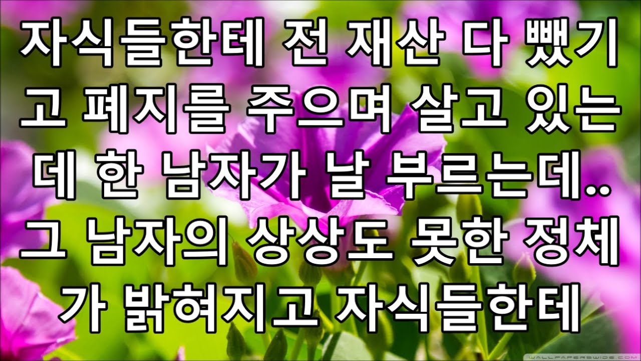 실화사연자식들한테 전 재산 다 뺐기고 폐지를 주으며 살고 있는데 한 남자가 날 부르는데그 남자의 상상도 못한 정체가 밝혀지고 자식들한테 신청사연 사이다썰 사연