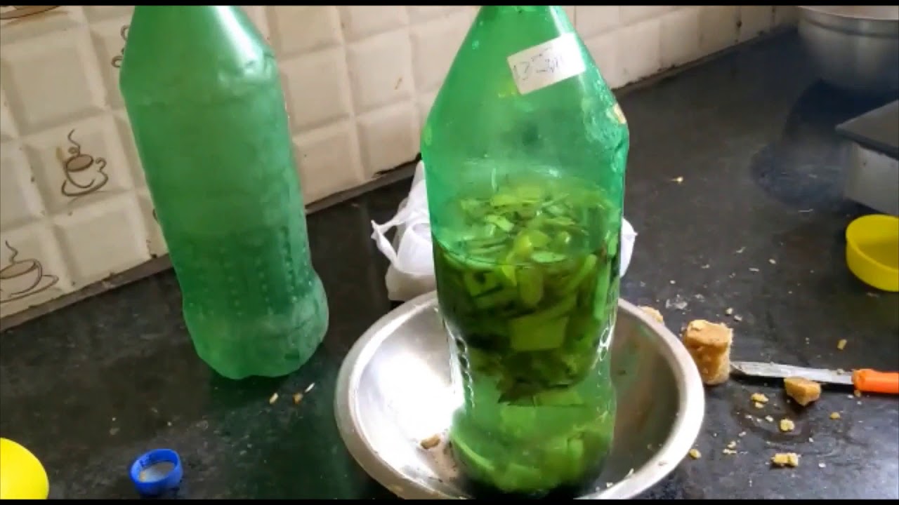 Bio-Enzyme Part 1- A Poison for Poisons and a Boon for Us and the ...