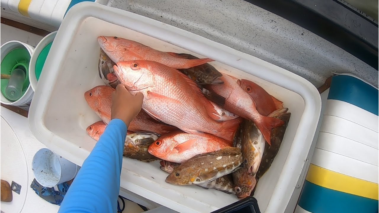 Handline Reef Fishing Down The Islands - Catch & Cook Snapper Soup ...