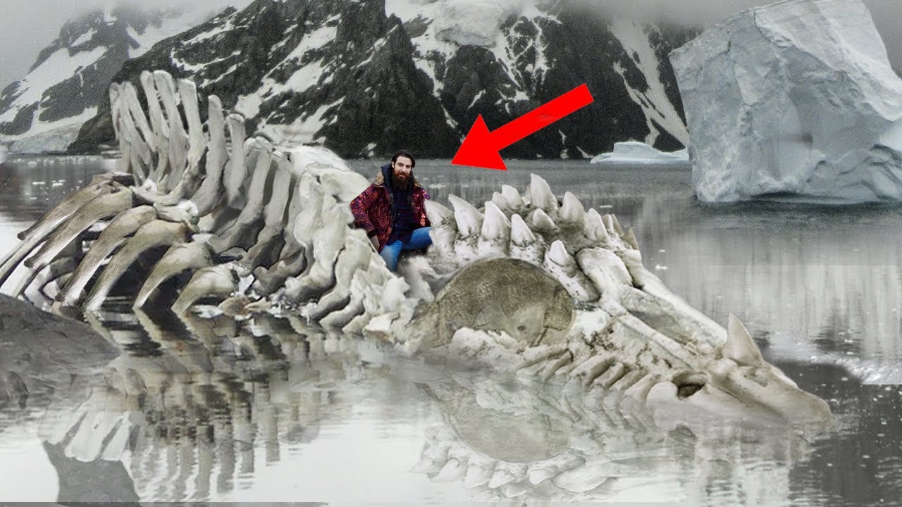 10 Most Incredible Recent Discoveries! - Go IT