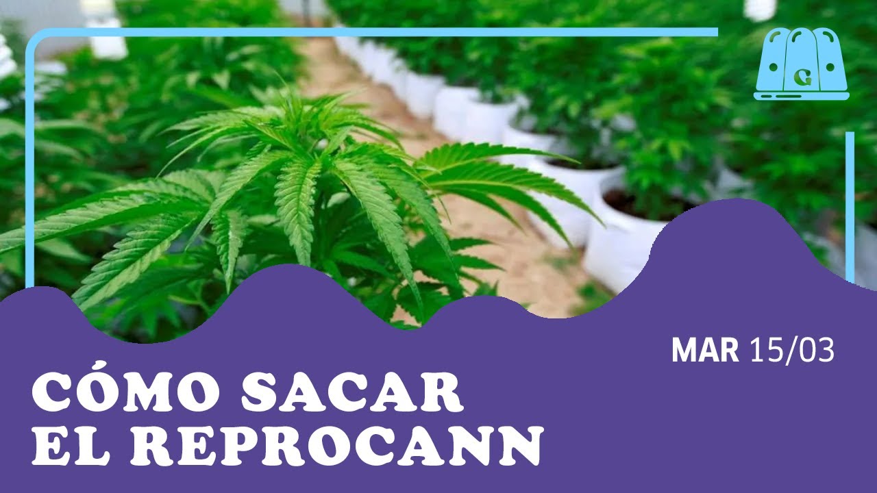 TUTORIAL PARA SACAR EL REPROCANN - YouTube