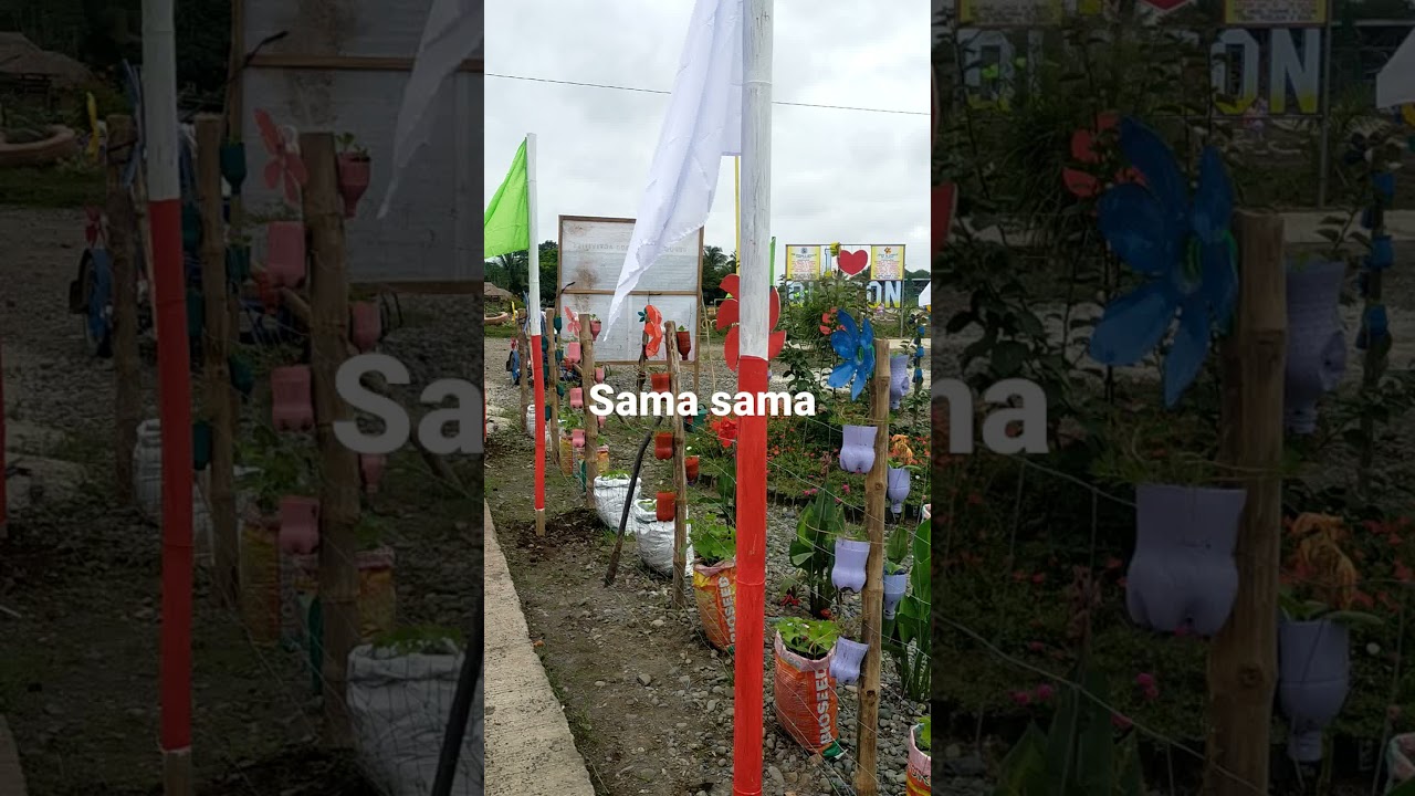 wow quezon san isidro isabela - YouTube