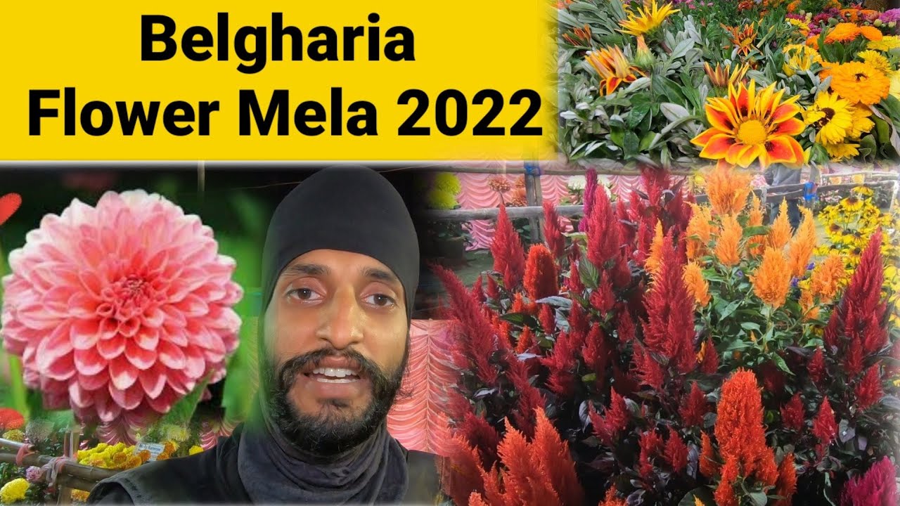 Belghoria Flower Mela 2022 #kolkatavlog @pajisvlog2.279 - YouTube