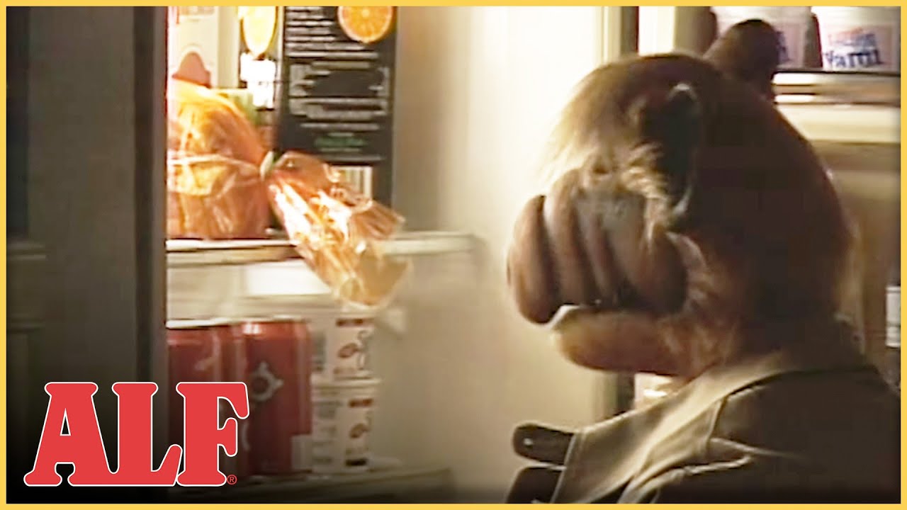 ALF Goes on a Diet | S4 Ep22 Clip - YouTube