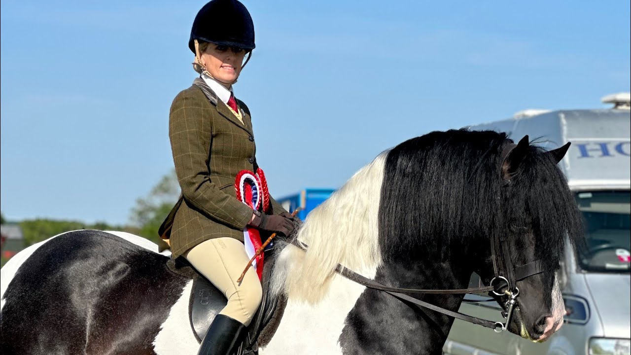 Monivea Black Magic Champion Rutland County Show LIHS 2023 - YouTube