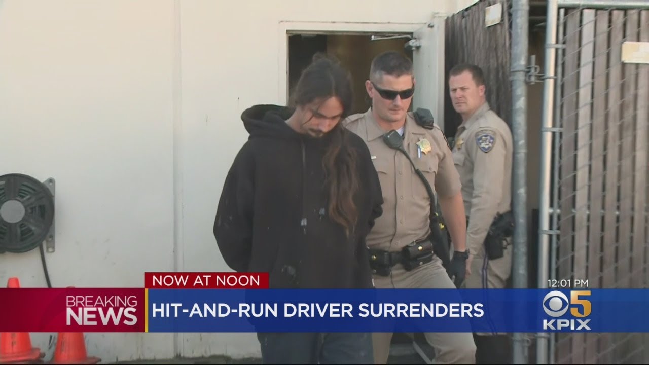 Suspect In Fatal Hit-And-Run Of Castro Valley 12-Year-Old Surrenders To ...