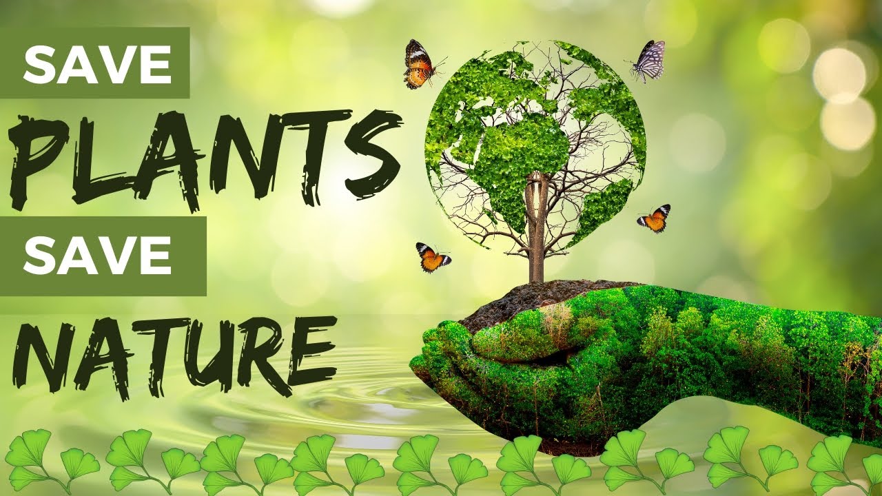 Secrets to becoming eco-friendly: My best tips | My Top Tips for being ...