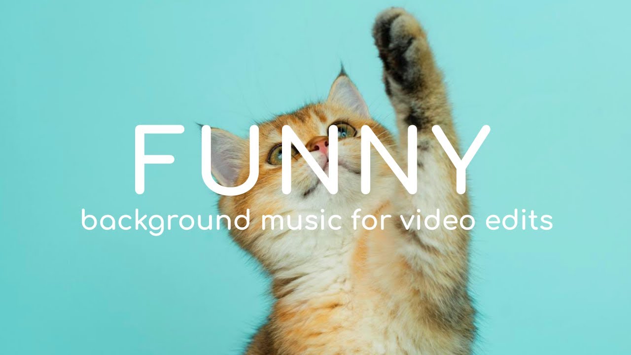 Funny Background Music No Copyright Cute Royalty Free Music - YouTube